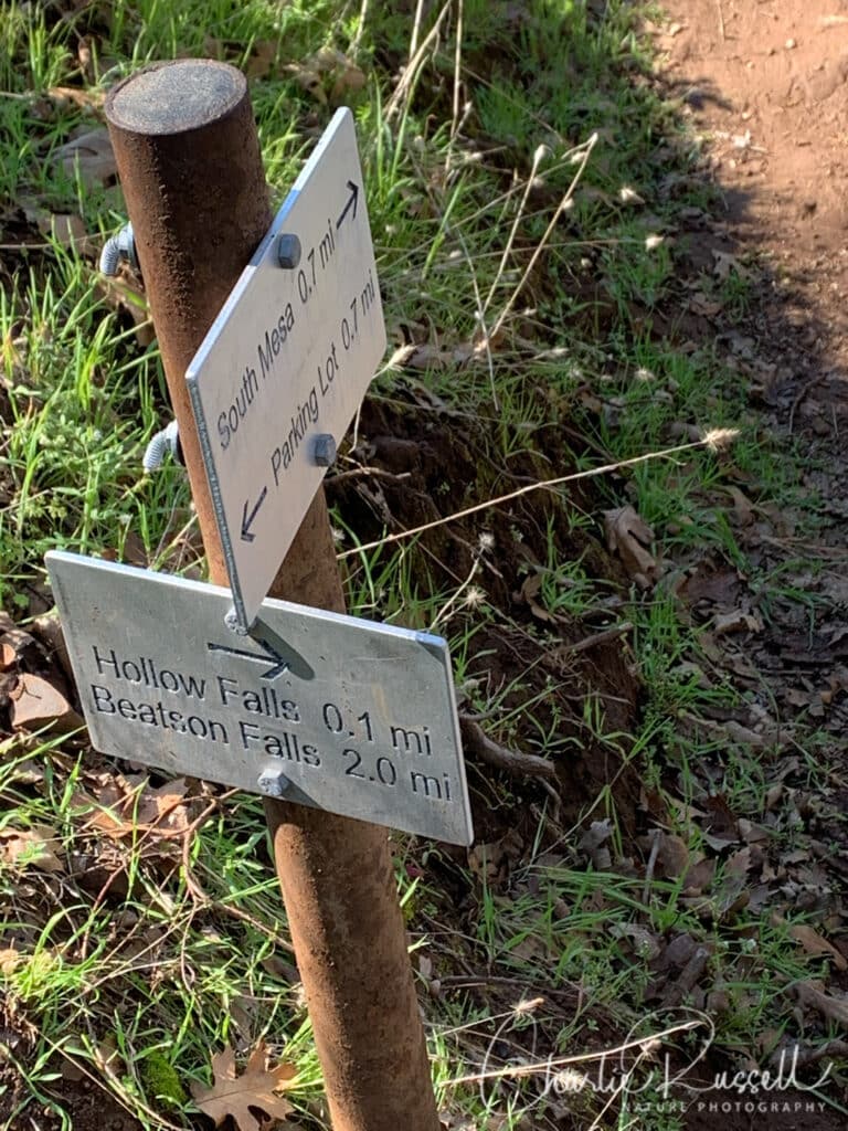 North Table Mountain 2020 - Charlie Russell Nature Photography