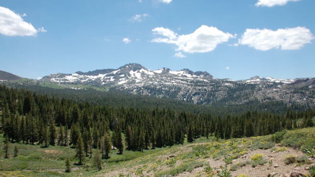 Meiss Lake Wildflower Hike - Charlie Russell Nature Photography